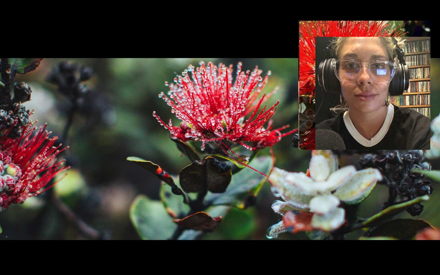 LEHUA LOUNGE – KKCR